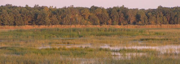 The Mead is a Must-Visit Destination for Waterfowl Hunters and Nature ...