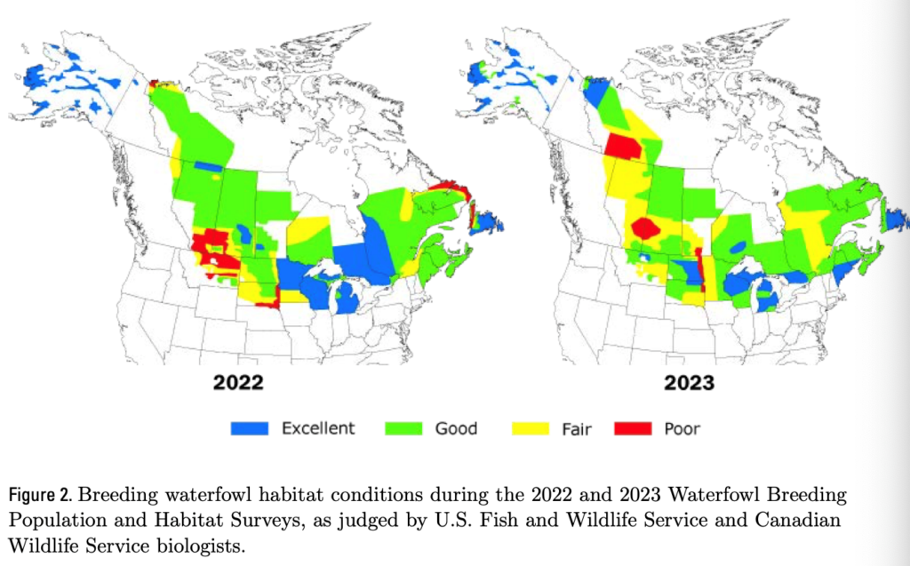 Hope Springs Eternal in the Duck Hunter: Duck Population Estimates ...