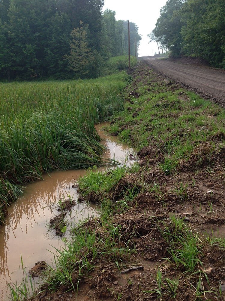 Wetland Laws: How They Work & Are Enforced - Wisconsin Waterfowl ...